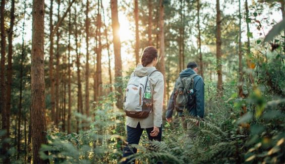 Ofertones en Decathlon para trekking y acampada